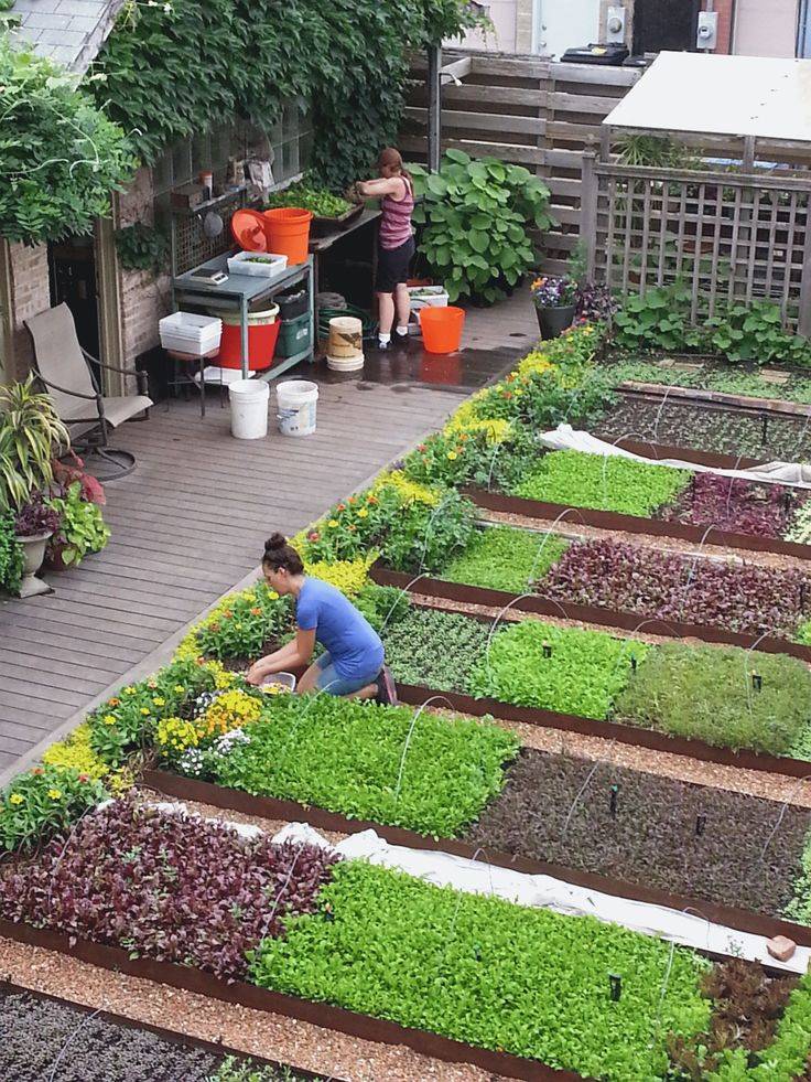 22 Luxury Vegetable Garden Ideas Worth to Check | SharonSable