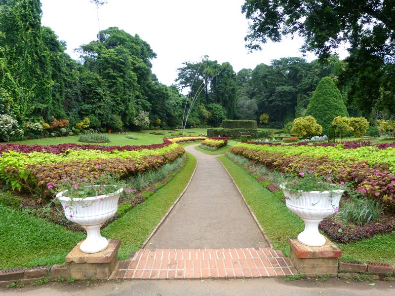 20 Kandy Botanical Garden Ideas To Consider | SharonSable