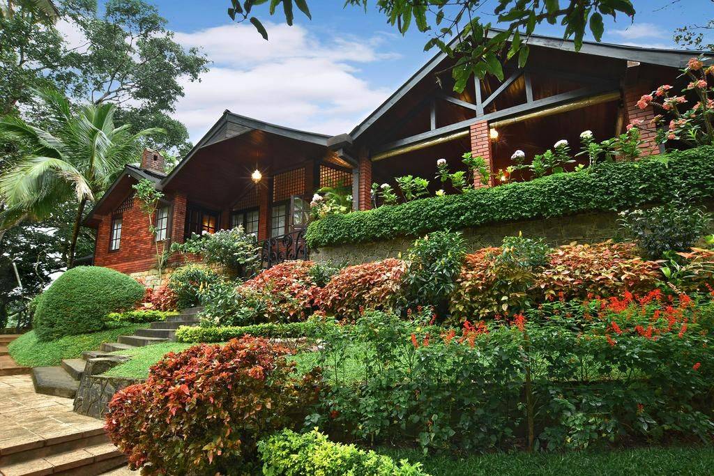 20 Kandy Botanical Garden Ideas To Consider | SharonSable