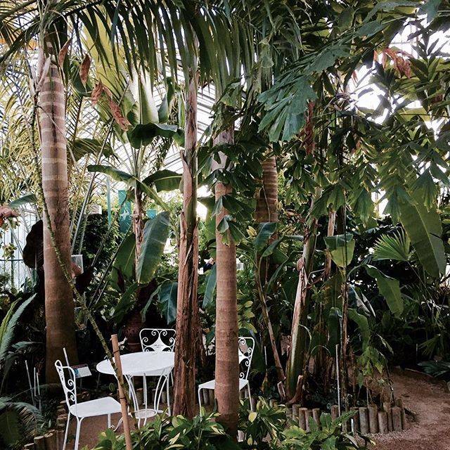 22 Geneva Botanical Garden Ideas You Should Look | SharonSable