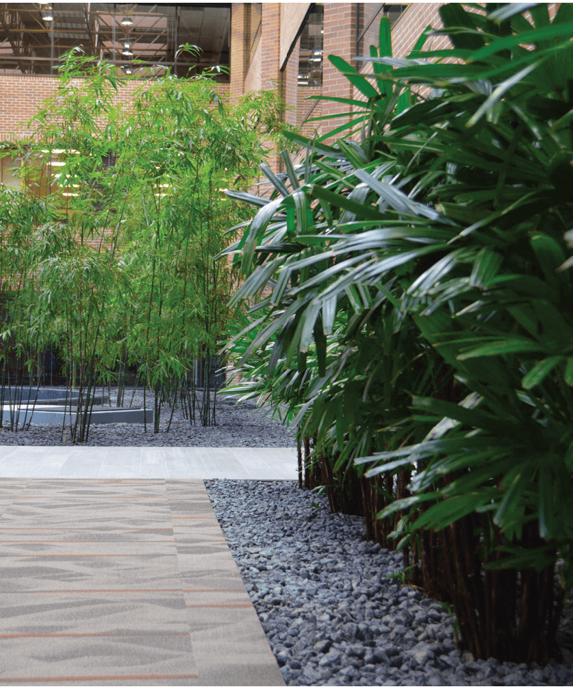 24 Enclosed Botanical Garden Ideas To Consider | SharonSable