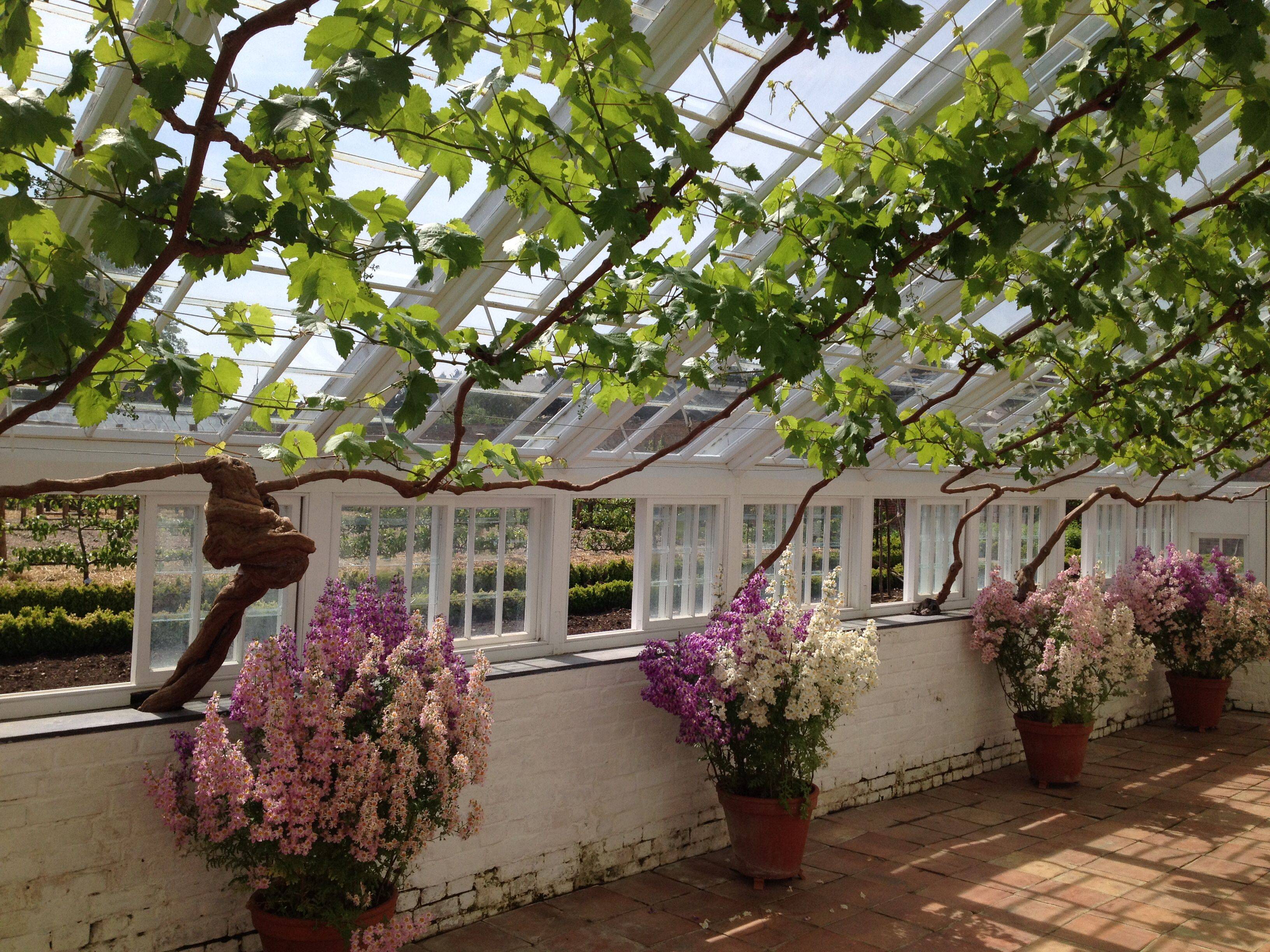 24 Enclosed Botanical Garden Ideas To Consider | SharonSable