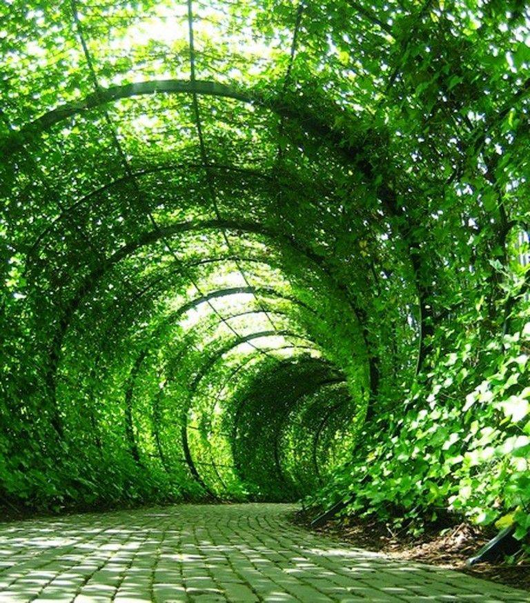 24 Enclosed Botanical Garden Ideas To Consider | SharonSable