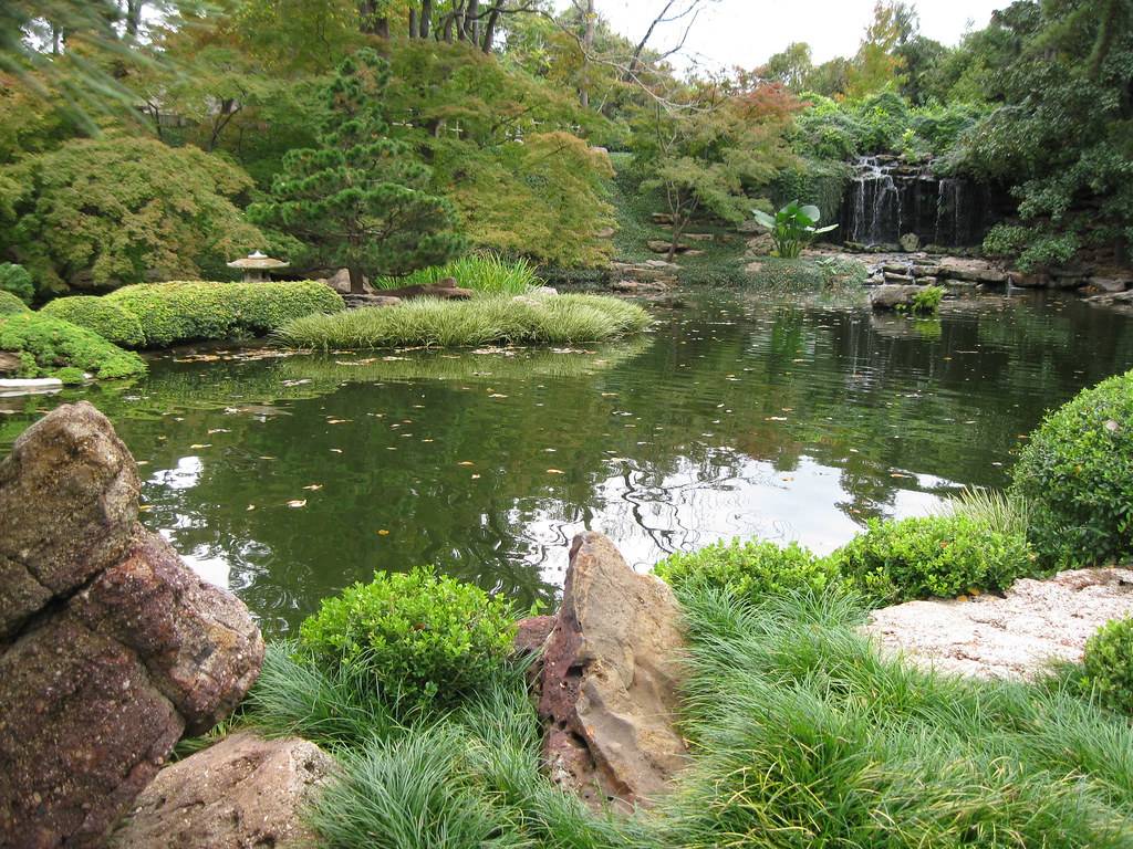 23 Fall Japanese Garden Fort Worth Ideas You Cannot Miss | SharonSable