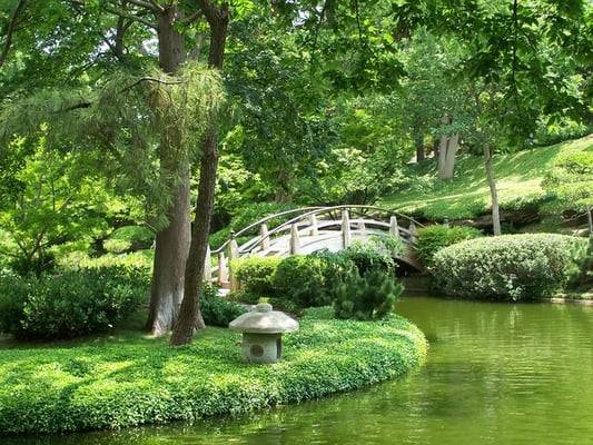 21 Japanese Botanical Garden Fort Worth Ideas To Try This Year ...
