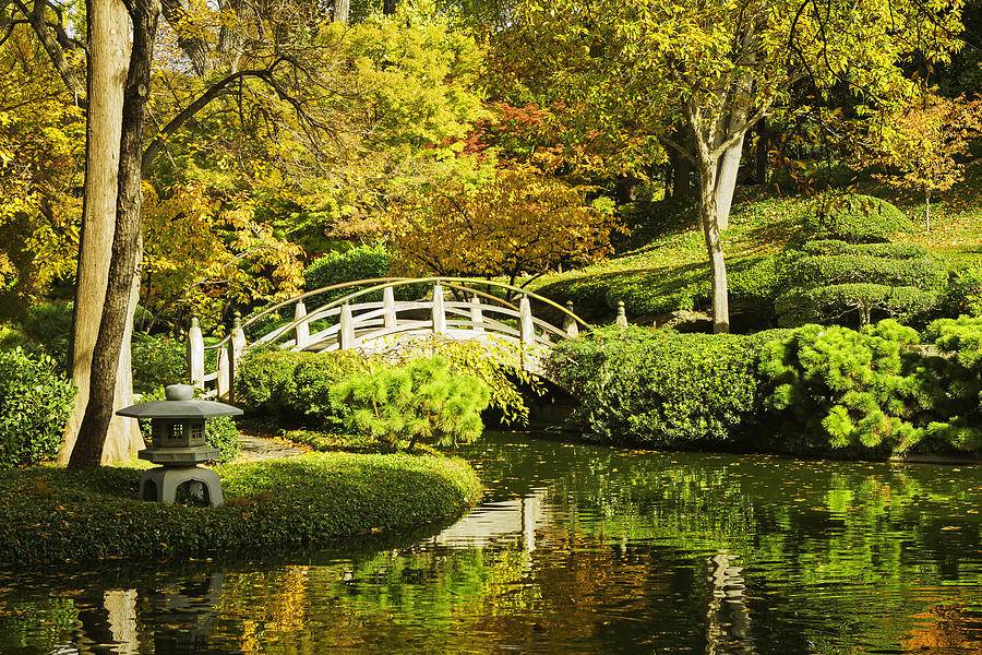 21 Japanese Botanical Garden Fort Worth Ideas To Try This Year ...