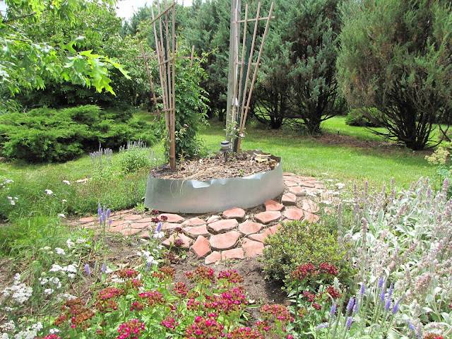 21 Rainy Day Garden Ideas Worth a Look | SharonSable