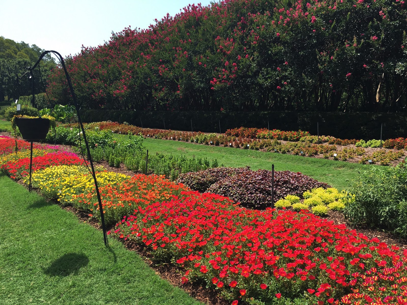 18 Dallas Arboretum and Botanical Garden Ideas Worth to Check | SharonSable