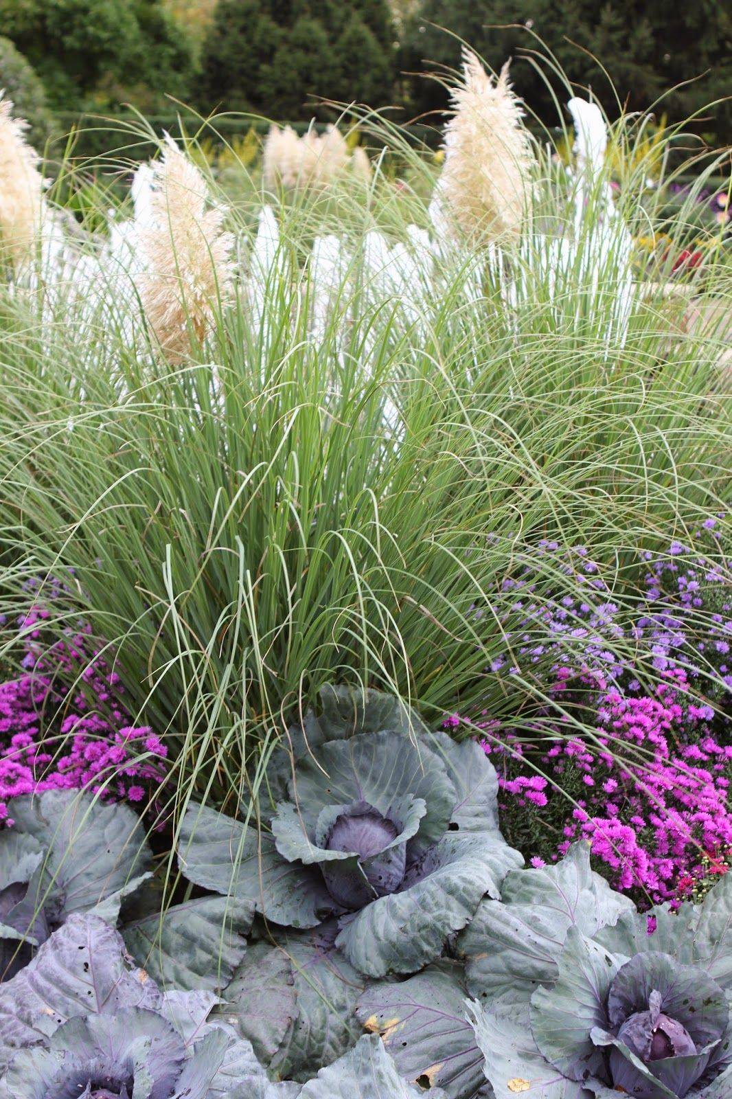 19 Chicago Botanic Garden Autumn Ideas To Consider | SharonSable