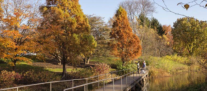 19 Chicago Botanic Garden Autumn Ideas To Consider | SharonSable