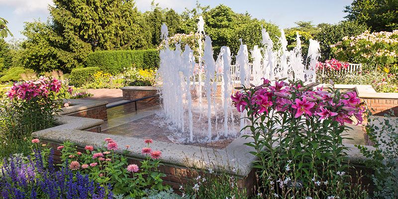 23 Chicago Botanic Garden Summer Ideas You Should Check | SharonSable