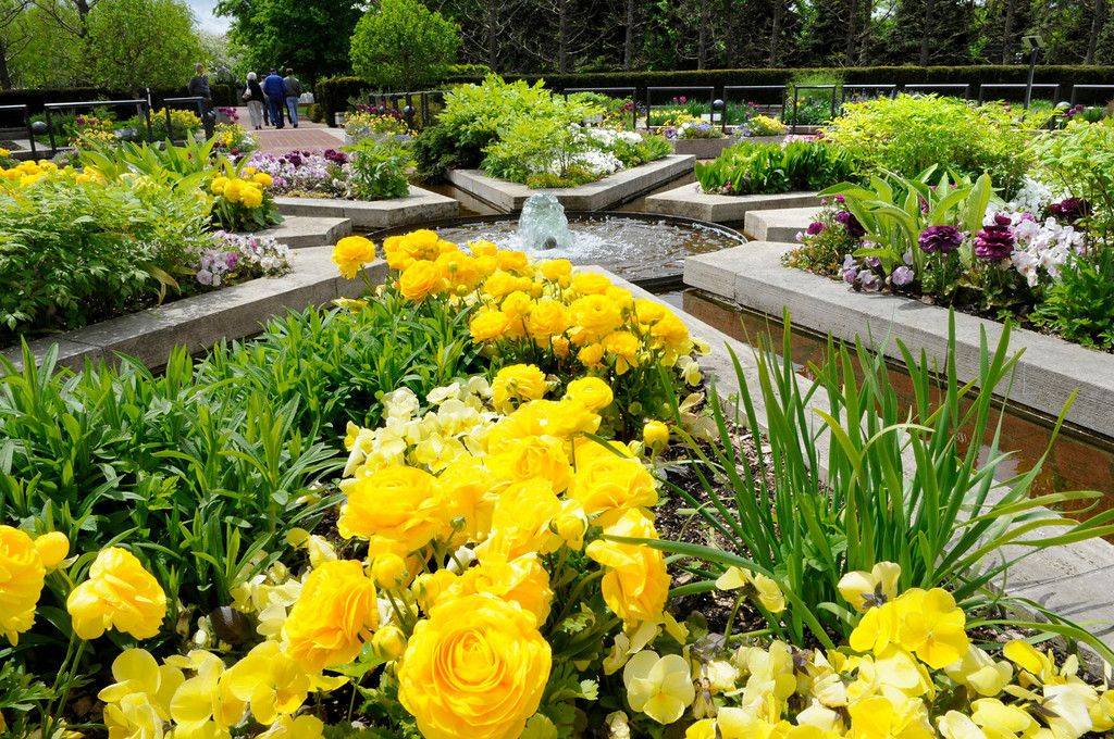 23 Chicago Botanic Garden Flowers Ideas To Consider | SharonSable