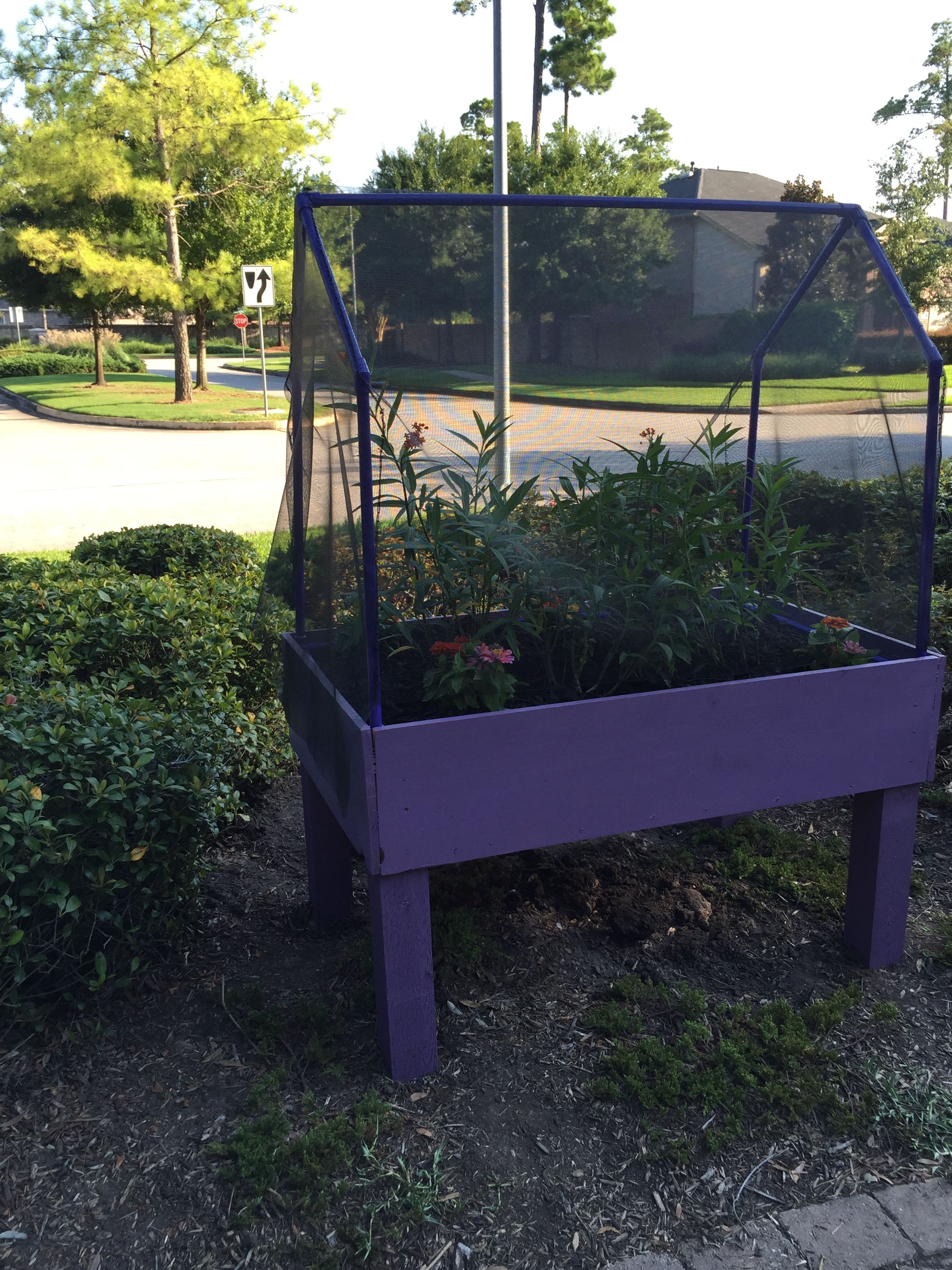 21 Botanical Garden Butterfly House Ideas You Should Check | SharonSable