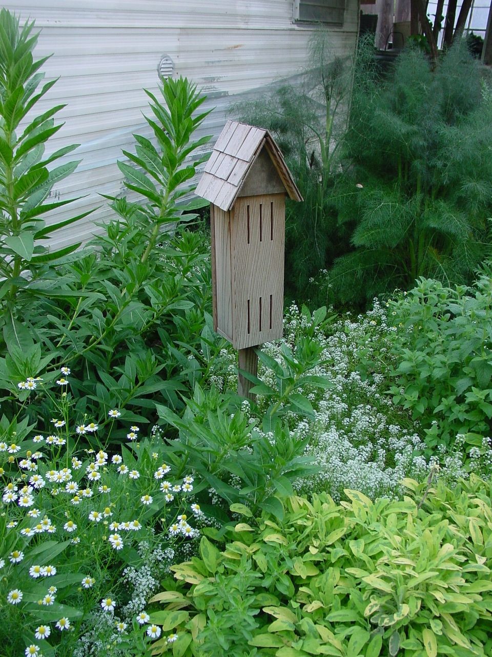 21 Botanical Garden Butterfly House Ideas You Should Check | SharonSable