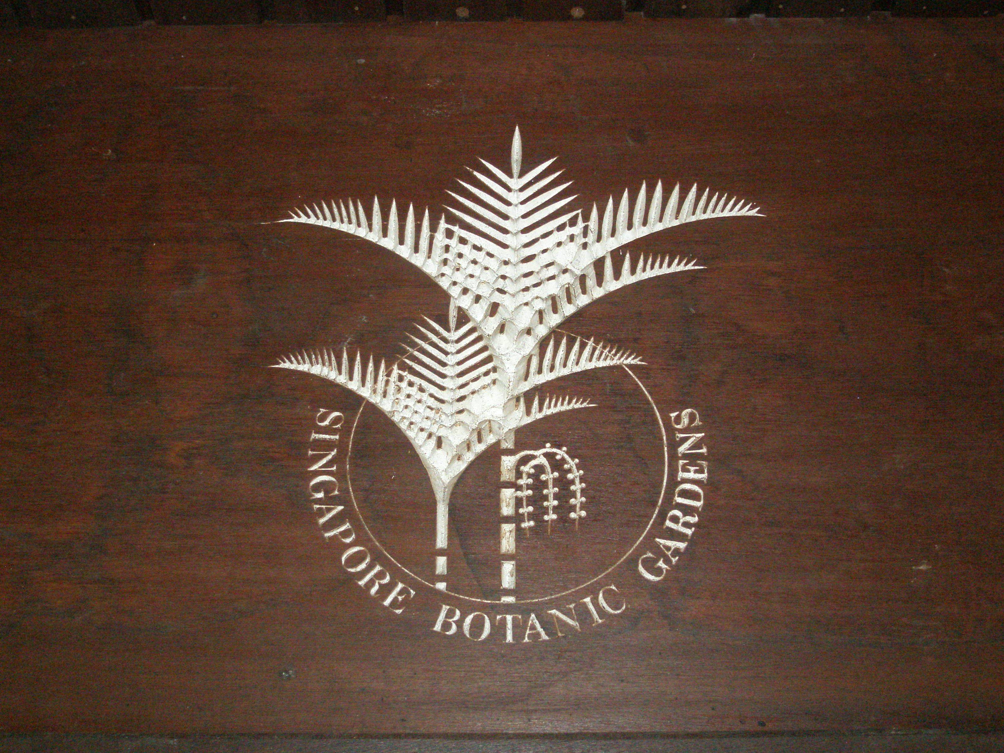 20 Botanical Garden Logo Ideas You Should Look | SharonSable