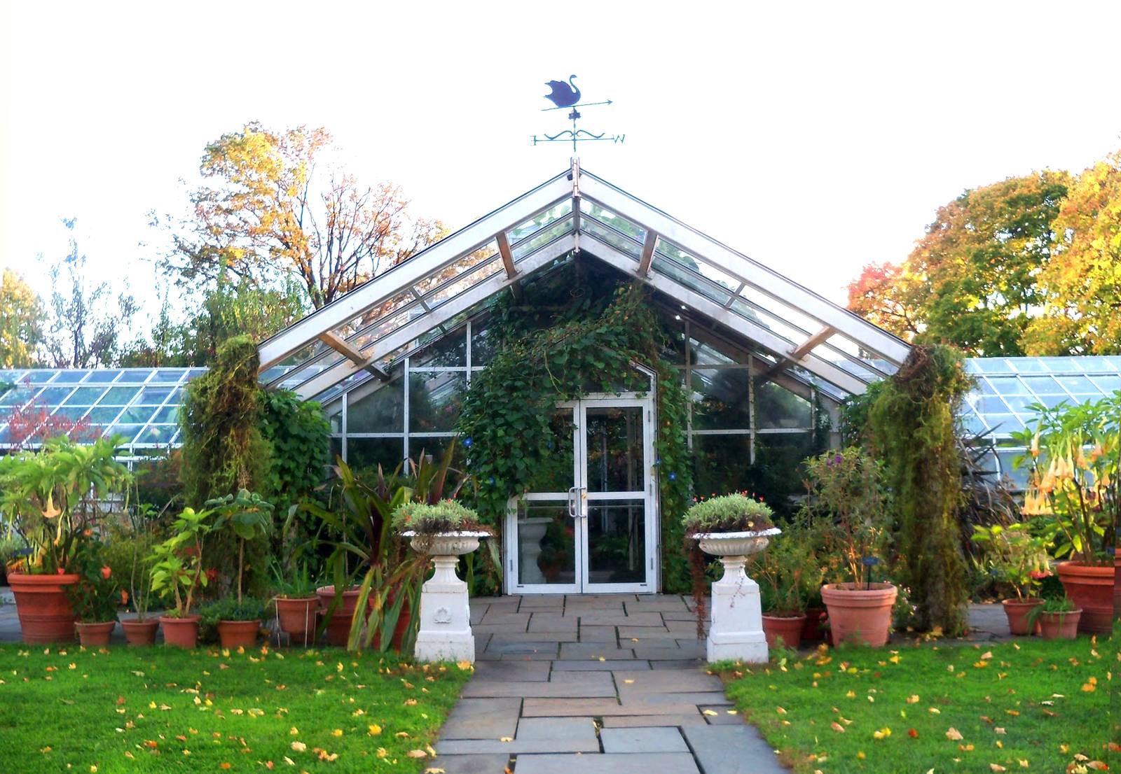 17 Botanic Garden Greenhouse Ideas To Try This Year | SharonSable