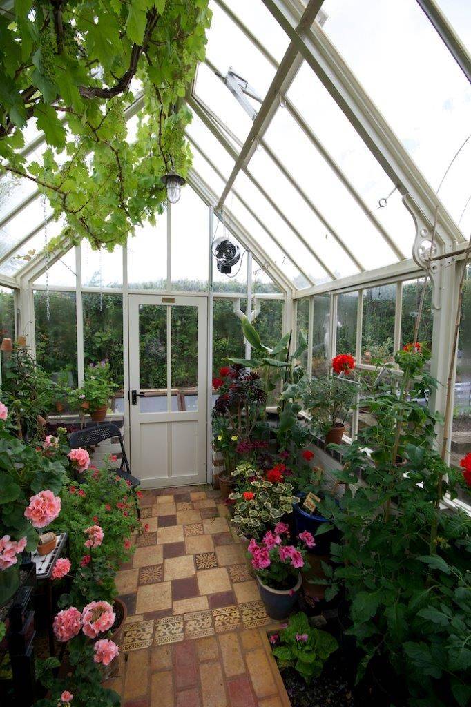17 Botanic Garden Greenhouse Ideas To Try This Year | SharonSable