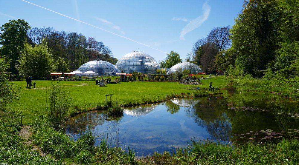 17 Botanical Garden of the University of Vienna Ideas Worth a Look ...