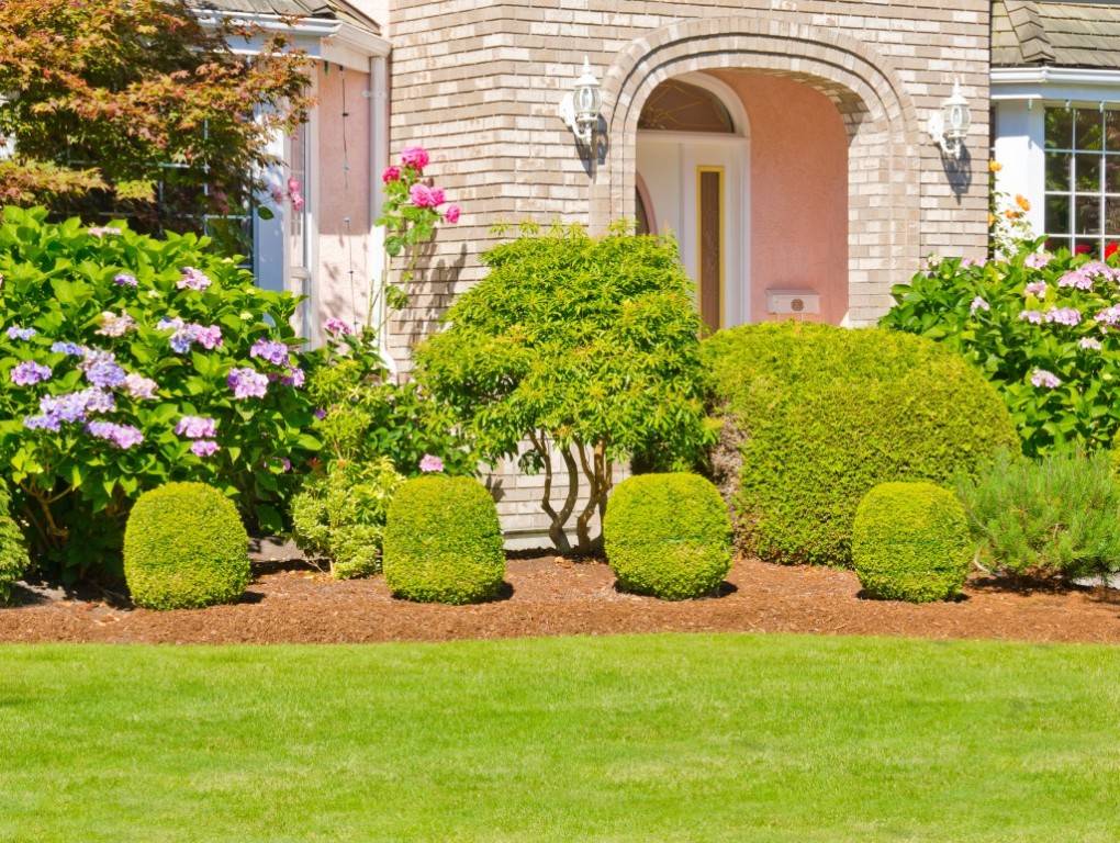 18 Ordinary Garden Ideas Worth to Check | SharonSable