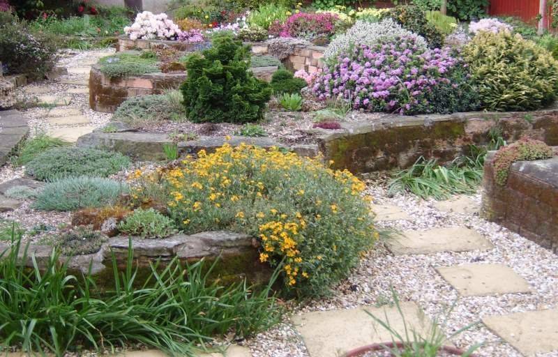 22 Alpine Garden Ideas To Consider | SharonSable