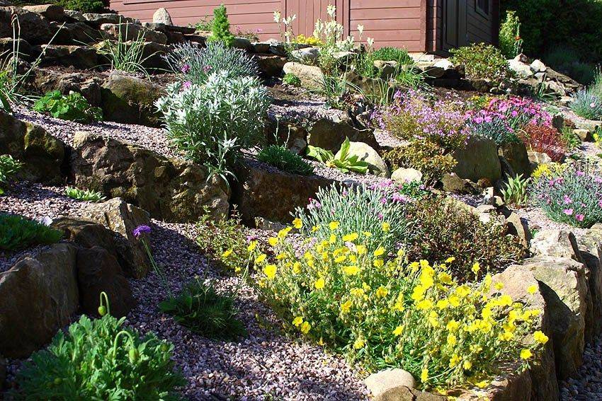 22 Alpine Garden Ideas To Consider | SharonSable