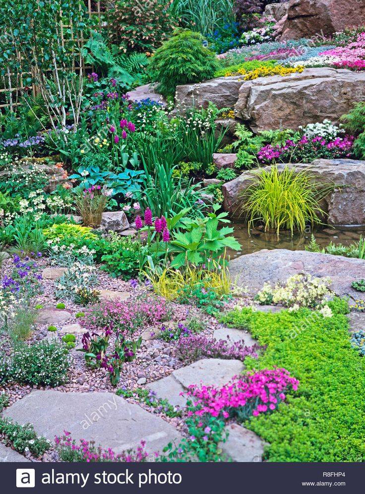 22 Alpine Garden Ideas To Consider | SharonSable
