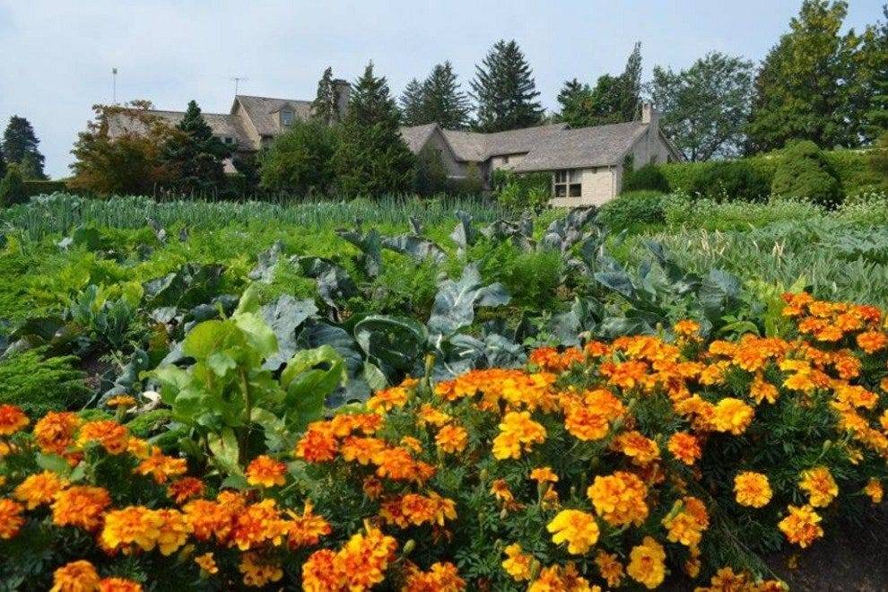 22 Niagara Falls Rose Garden Ideas For This Year | SharonSable