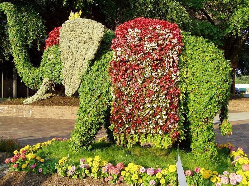24 Topiary Flower Garden Ideas You Must Look | SharonSable