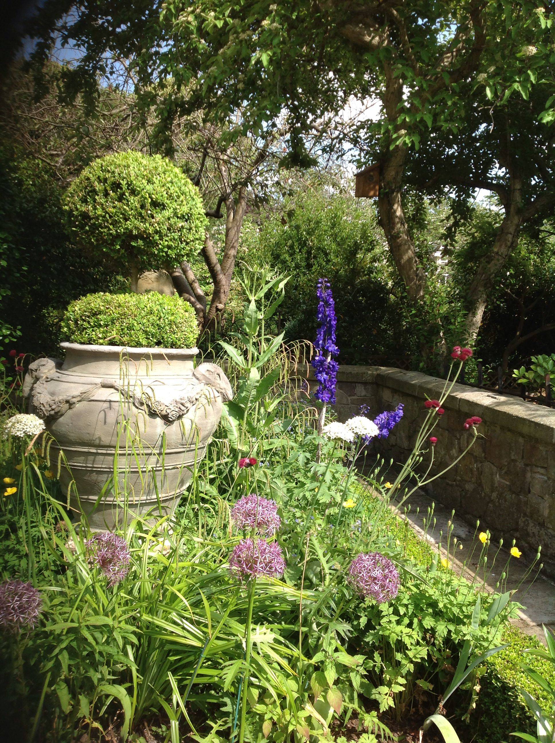 23 Topiary Plant Garden Ideas You Should Check | SharonSable