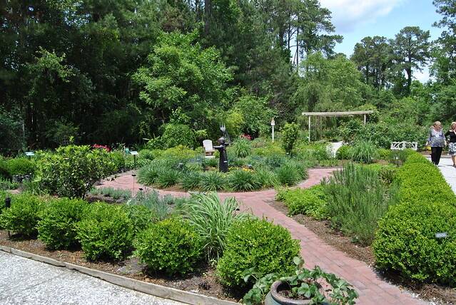 20 Savannah Botanical Garden Ideas To Try This Year | SharonSable