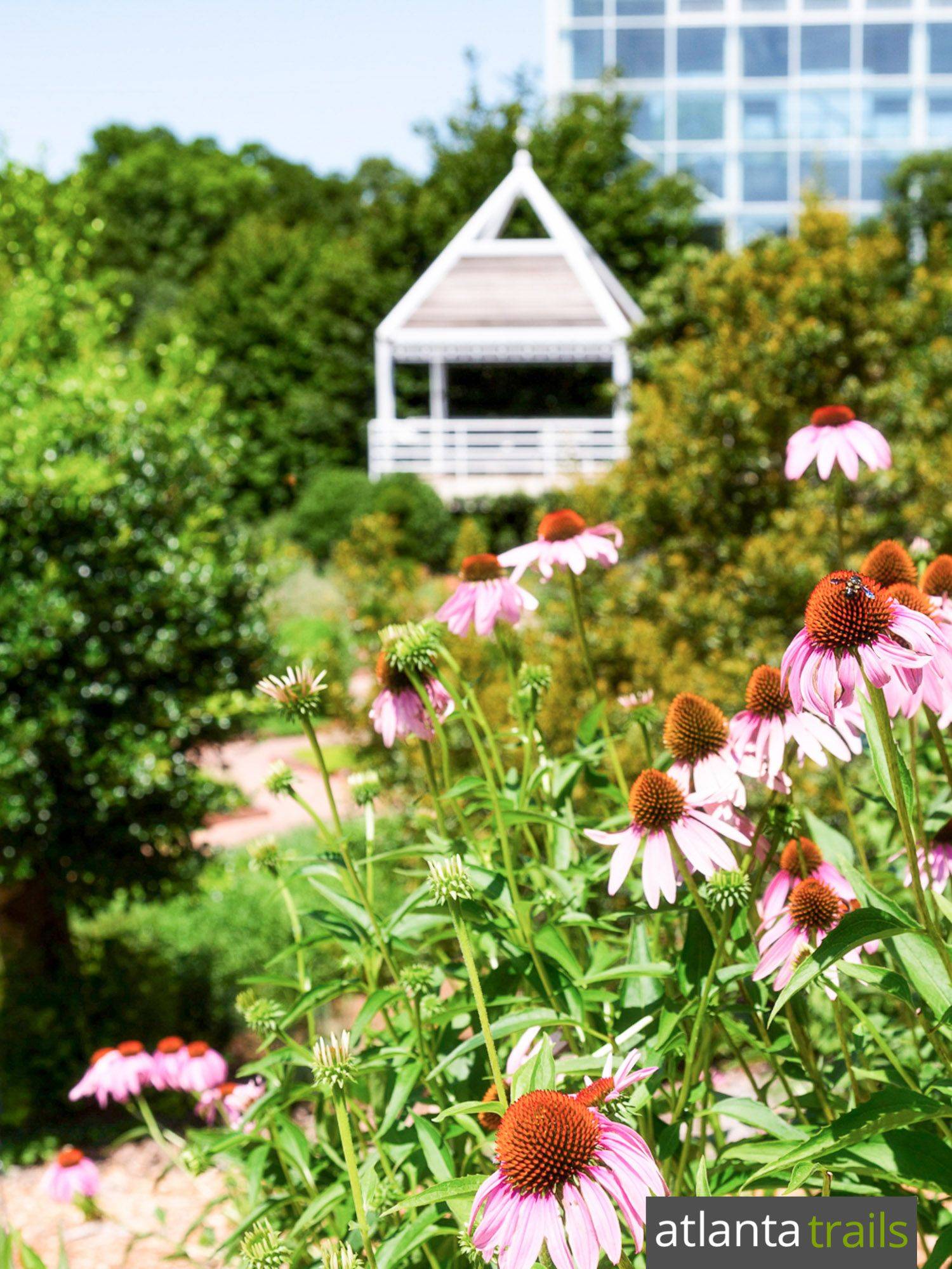 13 Coastal Georgia Botanical Garden Ideas To Consider | SharonSable