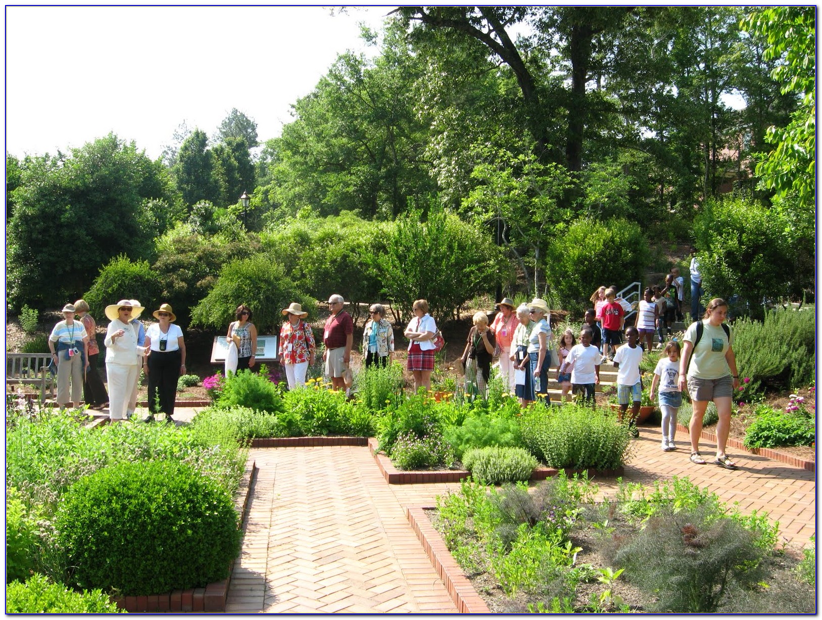 21 Georgia State Botanical Garden Ideas You Should Check | SharonSable