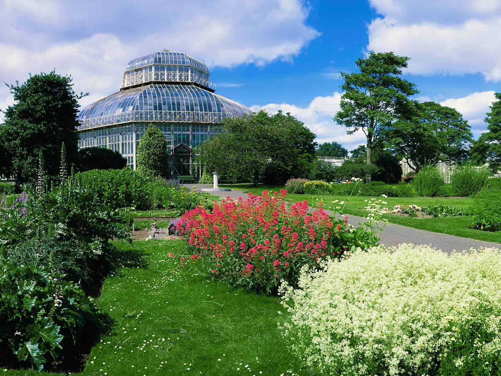 23 Botanical Garden Dublin Ireland Ideas You Should Look | SharonSable