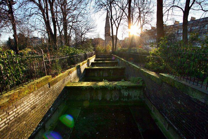 20 Botanic Garden Station Ideas To Consider | SharonSable