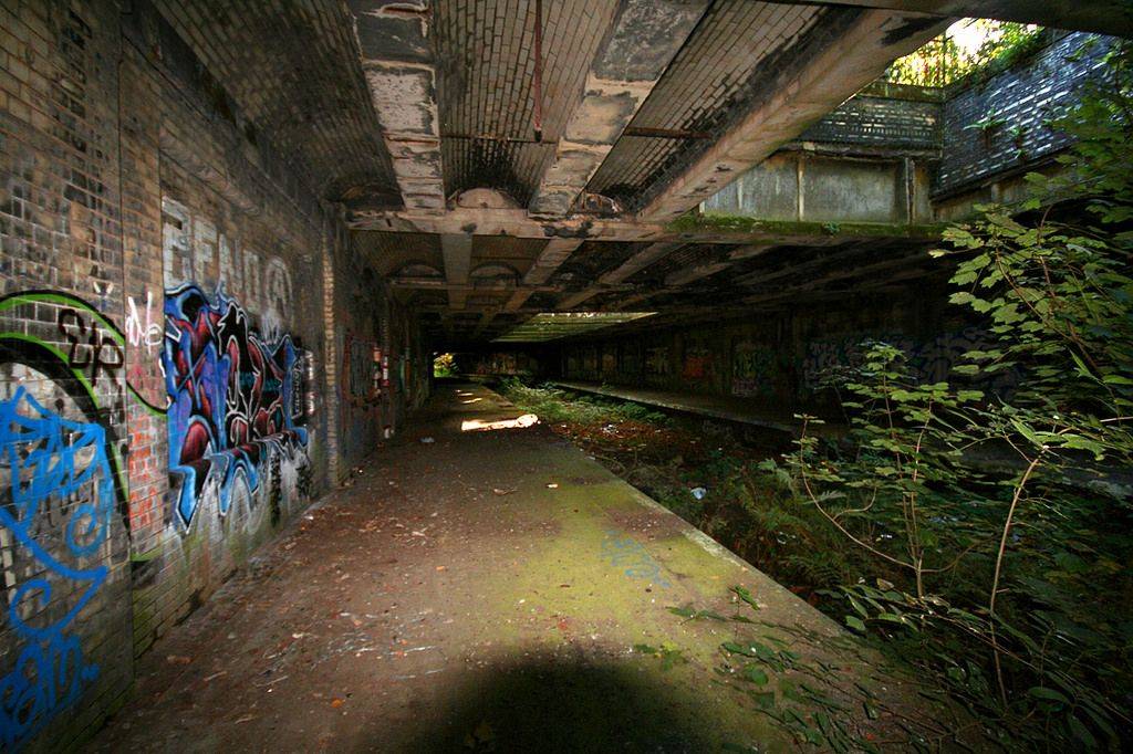 20 Botanic Garden Station Ideas To Consider | SharonSable