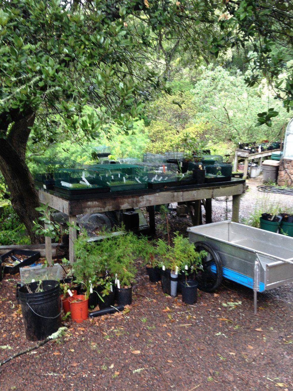 20 Botanic Garden Station Ideas To Consider | SharonSable