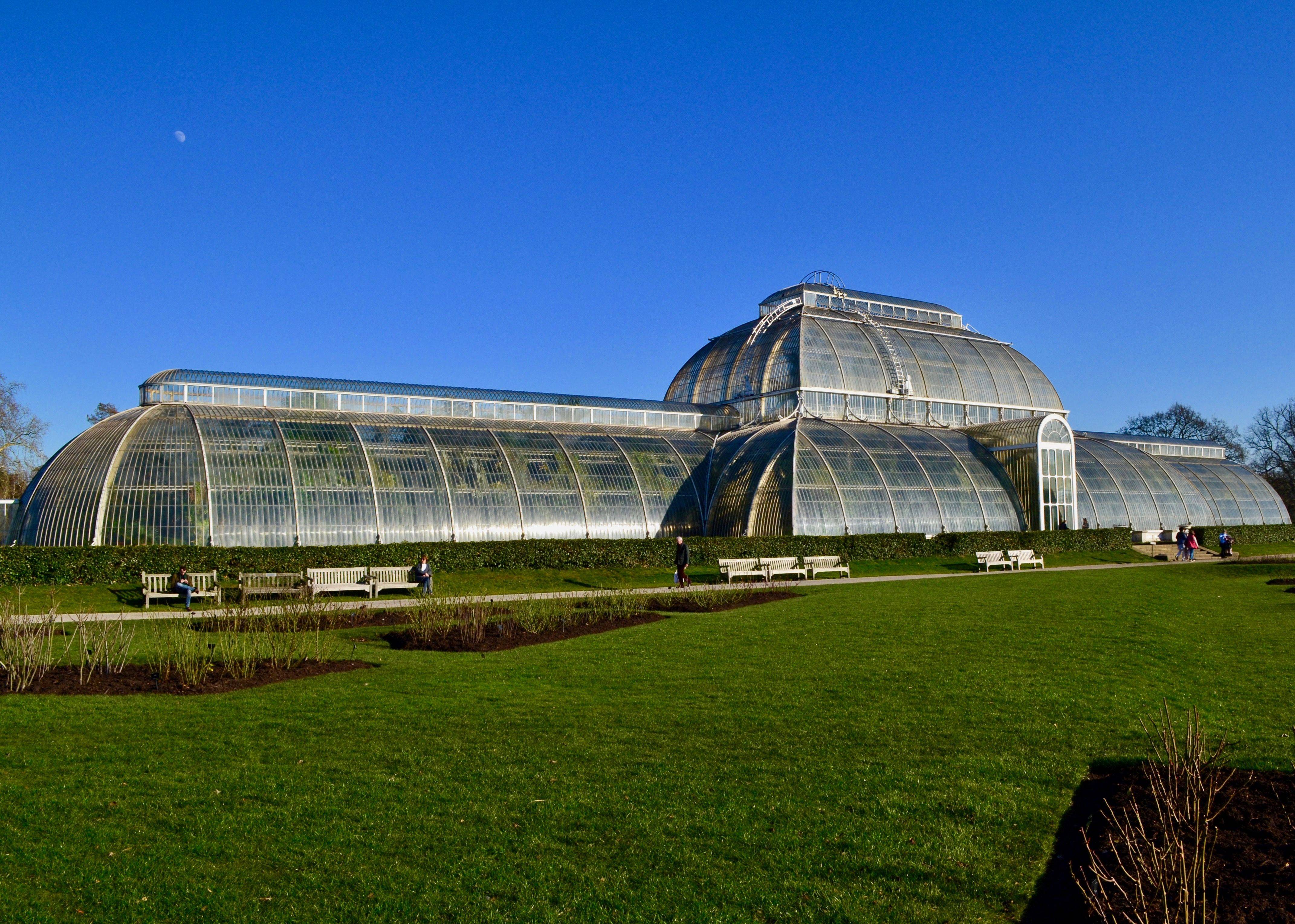 21 Palm House Kew Garden Ideas You Gonna Love | SharonSable