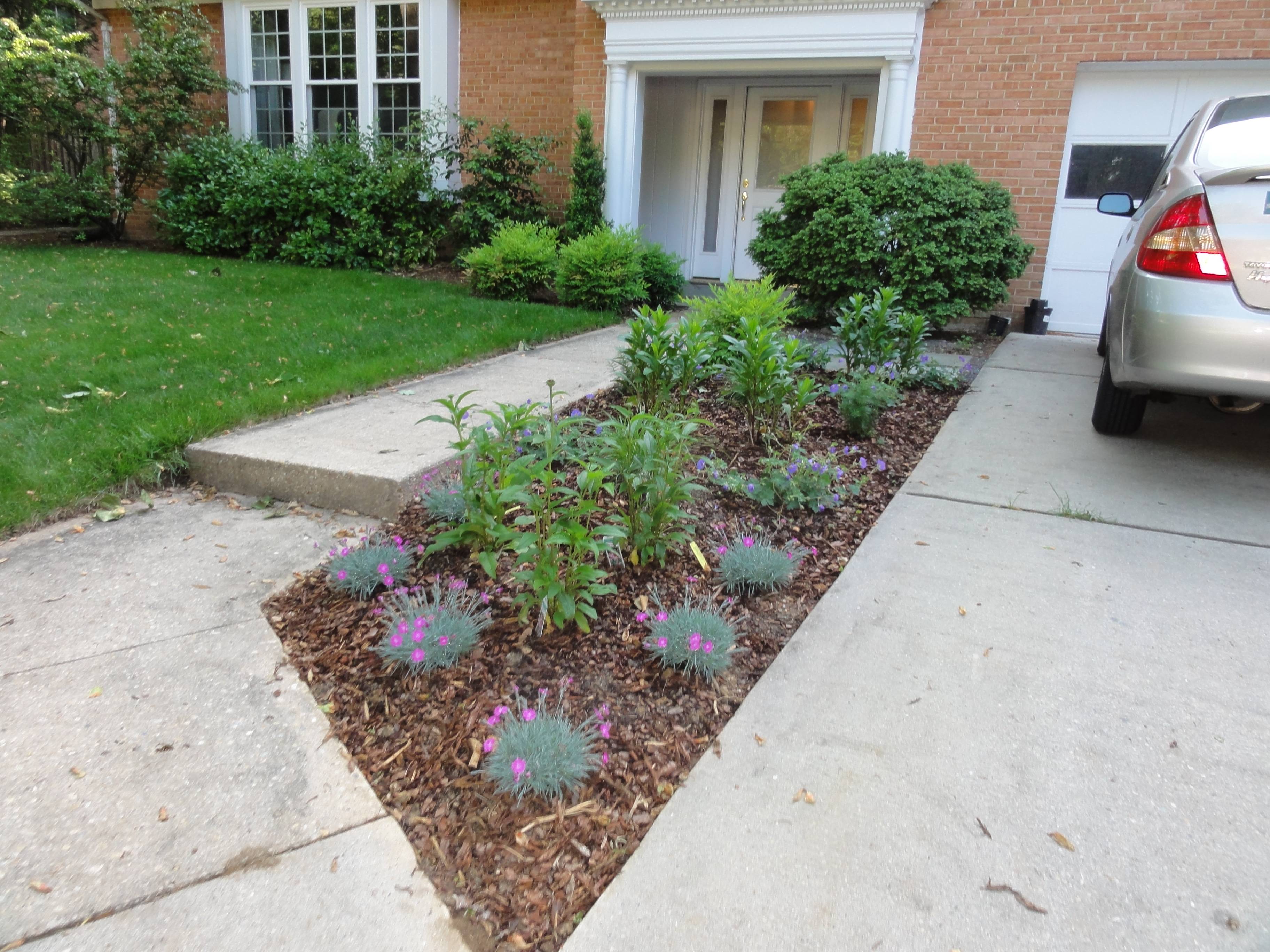 21 Driveway Flower Garden Ideas You Should Look | SharonSable