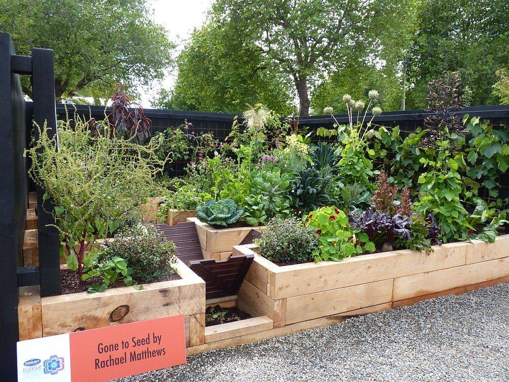 19 Luxary Modern Vegetable Garden Ideas To Try This Year | SharonSable