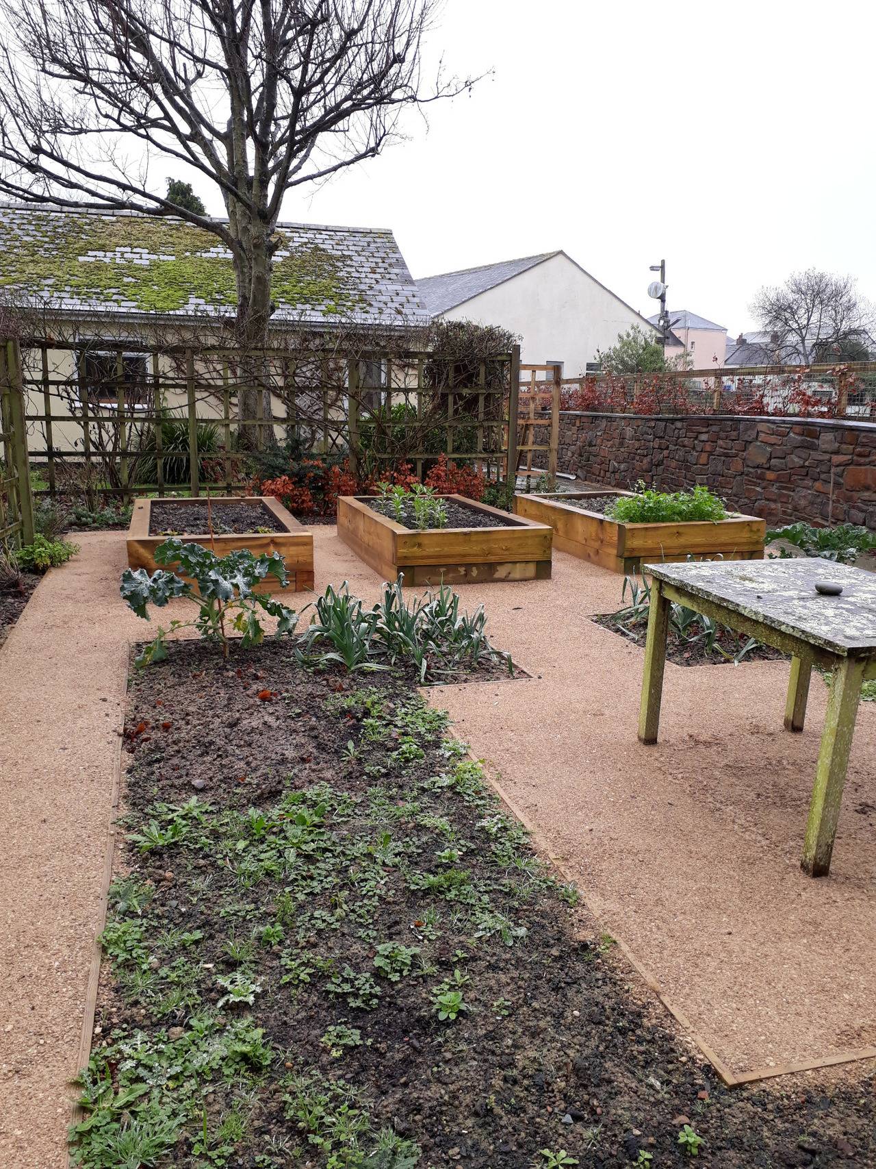 19 Luxary Modern Vegetable Garden Ideas To Try This Year | SharonSable