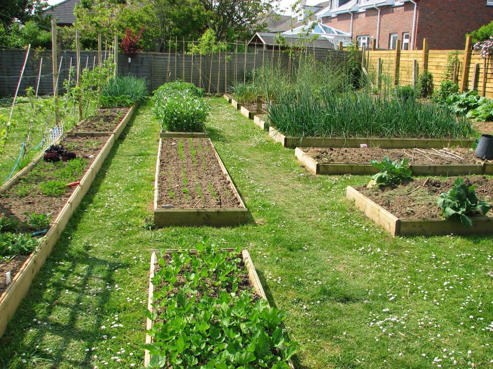 23 Container Vegetable Garden Layout Ideas For This Year | SharonSable
