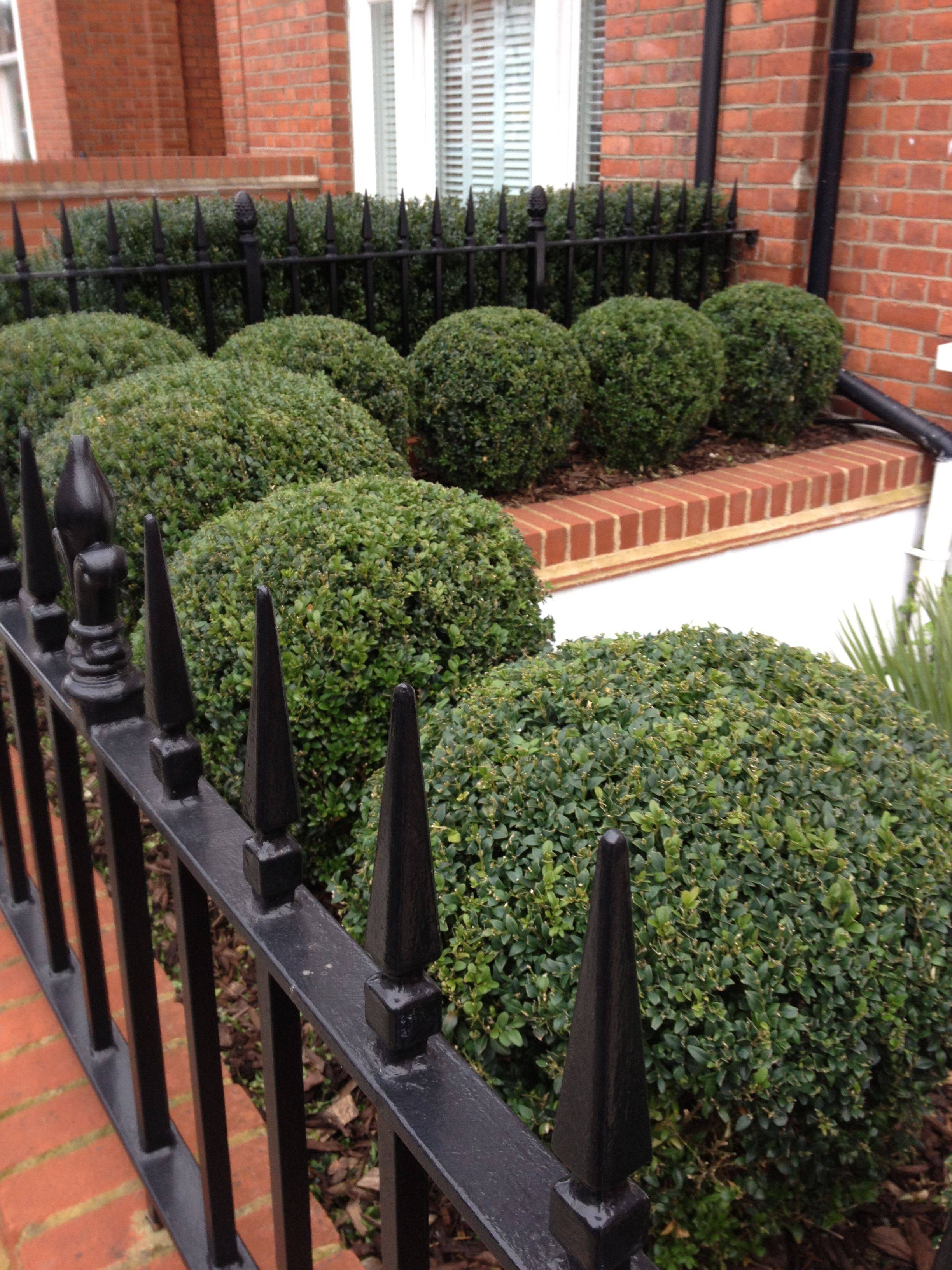 25 Victorian Terrace Front Garden Ideas You Cannot Miss | SharonSable