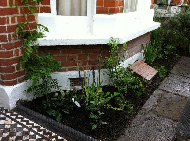 25 Victorian Terrace Front Garden Ideas You Cannot Miss | SharonSable