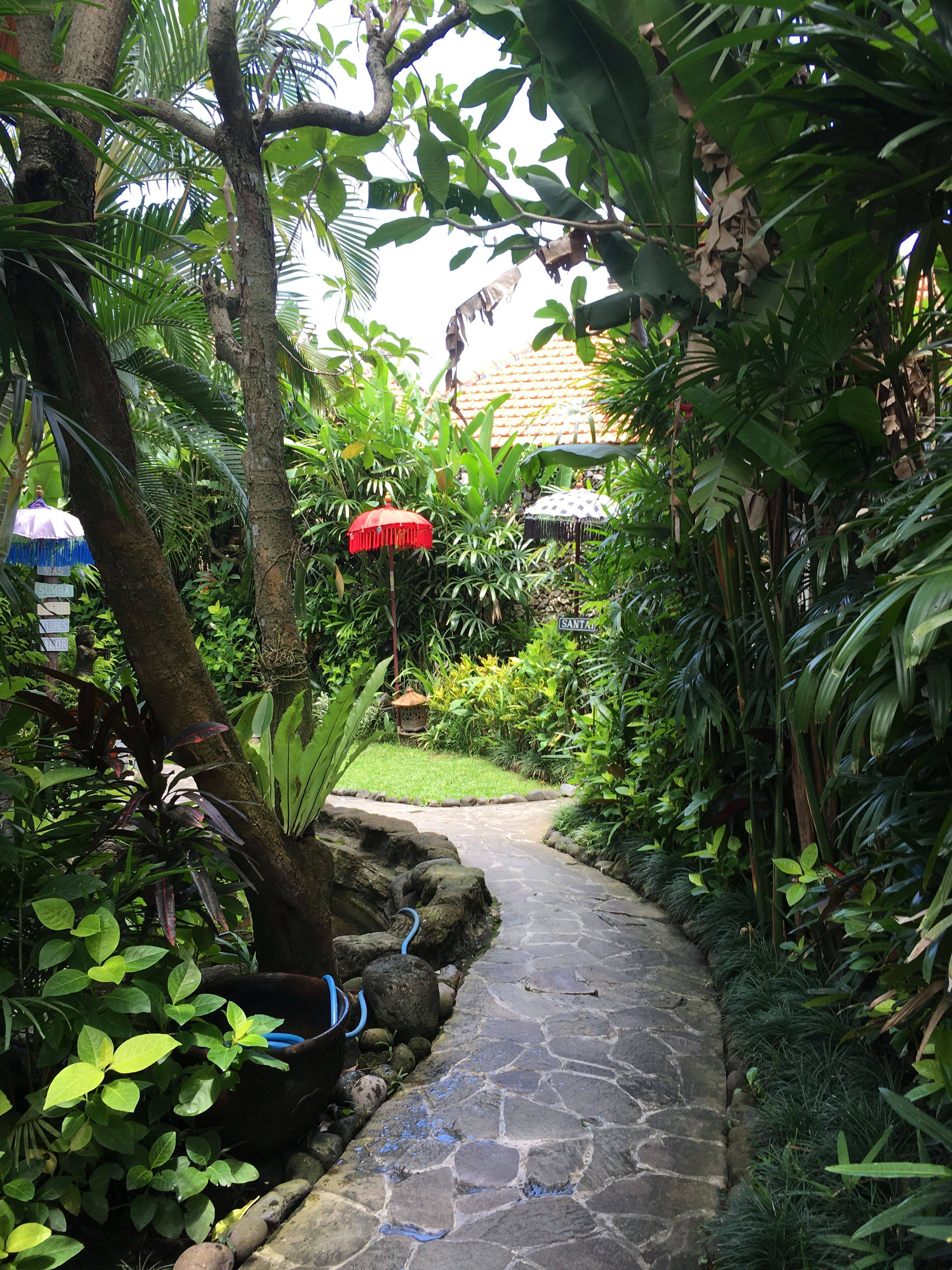 25 Bali Tropical Garden Ideas To Try This Year | SharonSable