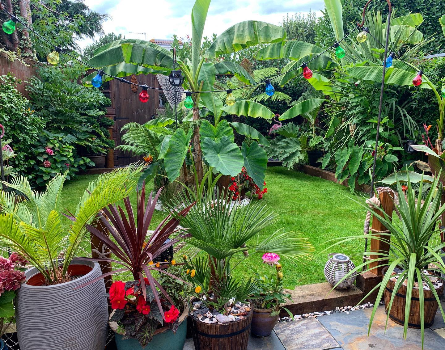 21 Tropical Plant Garden Ideas To Try This Year | SharonSable