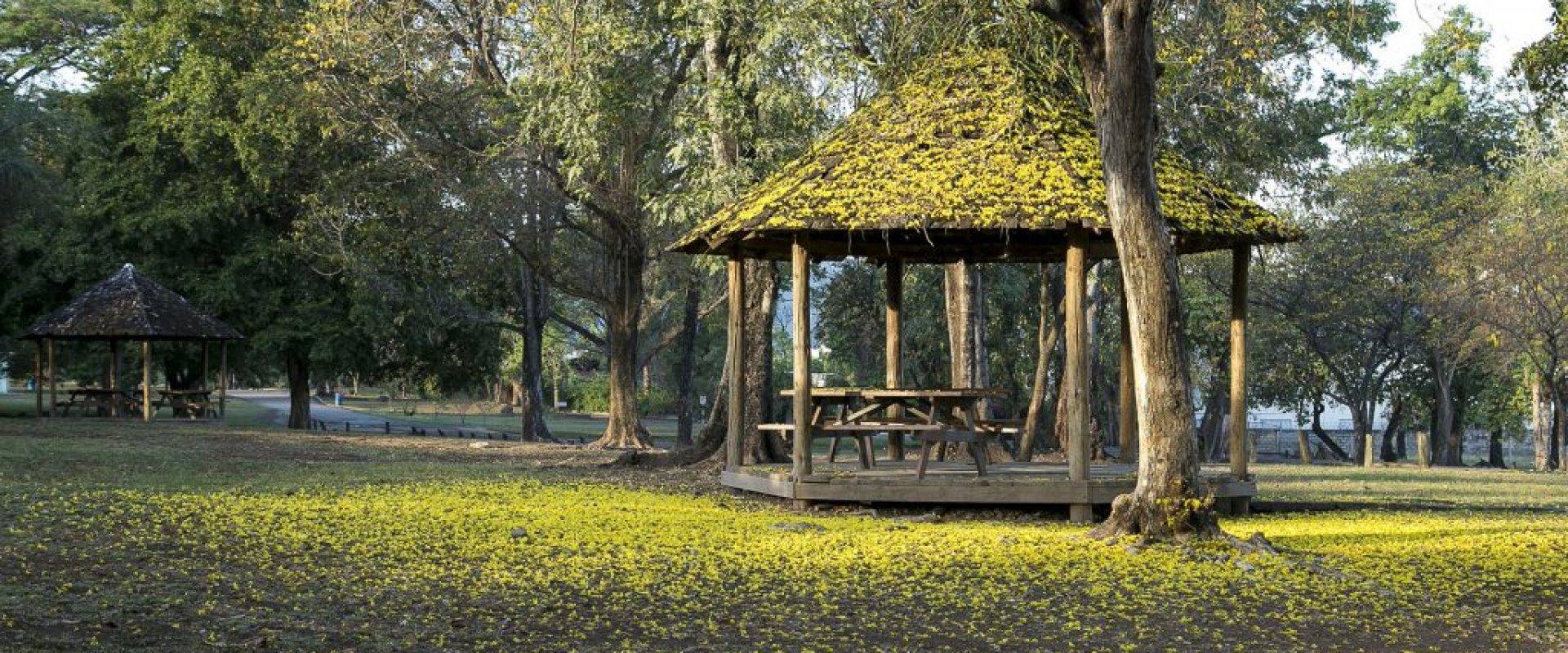 20 Hope Garden Jamaica Ideas For This Year | SharonSable