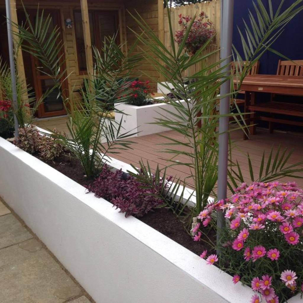 24 Back Garden Ideas Dublin Worth a Look | SharonSable