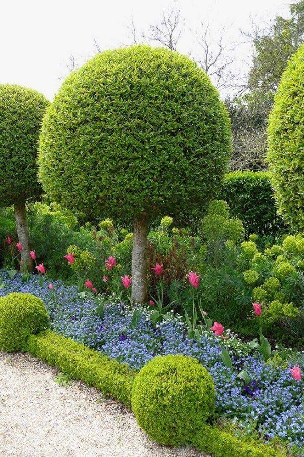 18 English Topiary Garden Ideas You Cannot Miss | SharonSable