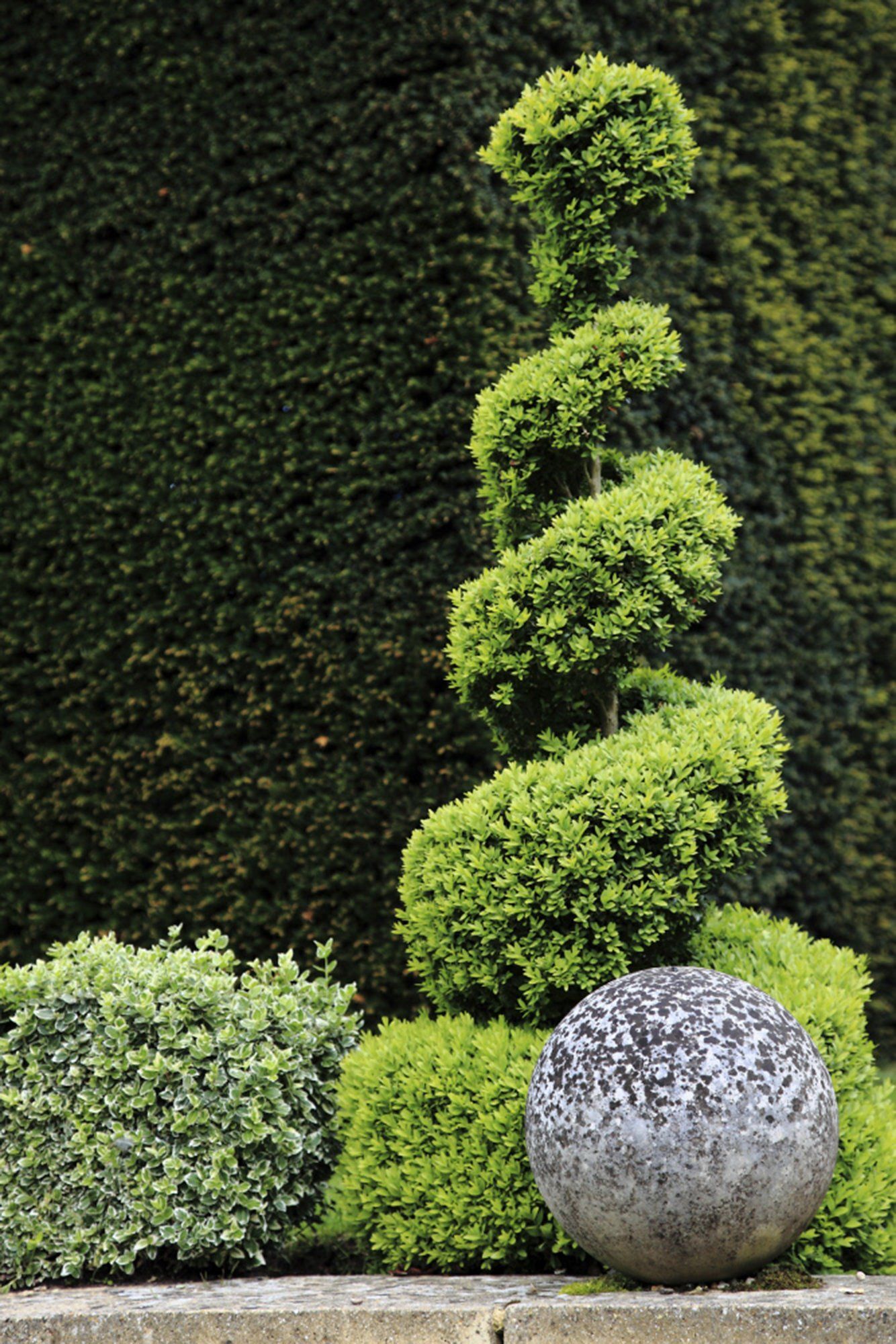 18 English Topiary Garden Ideas You Cannot Miss | SharonSable