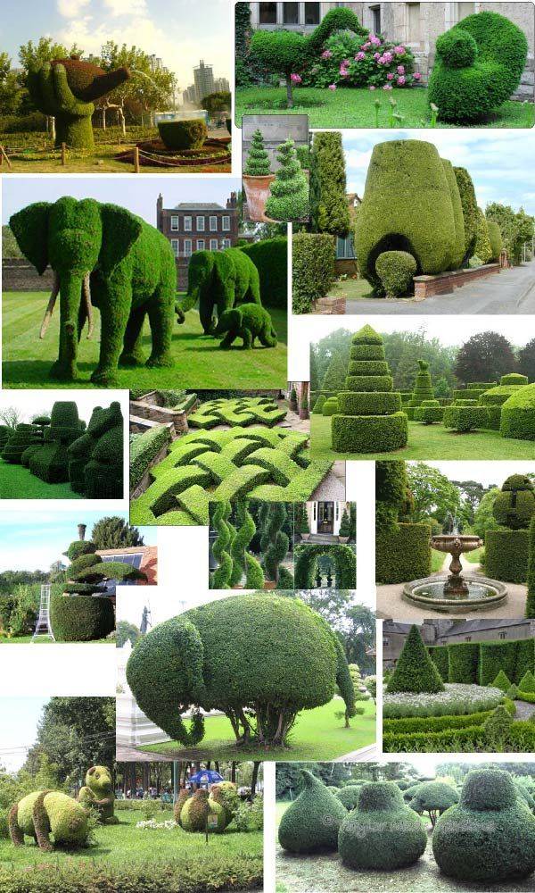 23 Amazing Topiary Garden Ideas To Try This Year | SharonSable